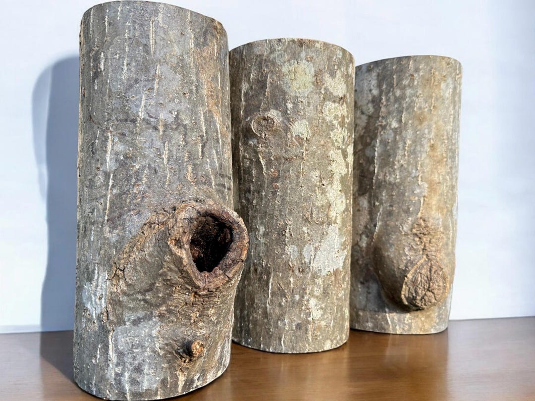Tulip Poplar Logs Set of 3 - Etsy
