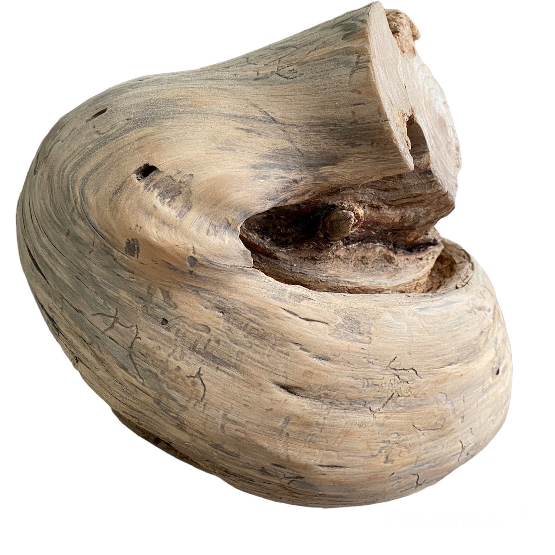 Twisted Tree Knot Burl Sphere Art Piece - Etsy