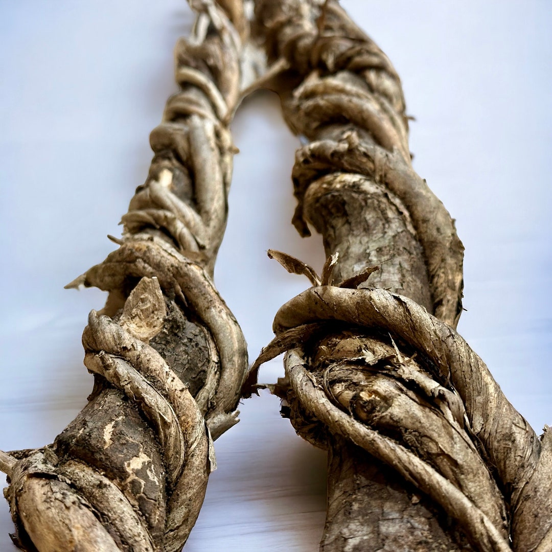 Vine Twisted Braided Branches - Etsy