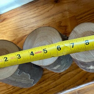 Mini Logs 3 Piece Set Sycamore Logs - Etsy