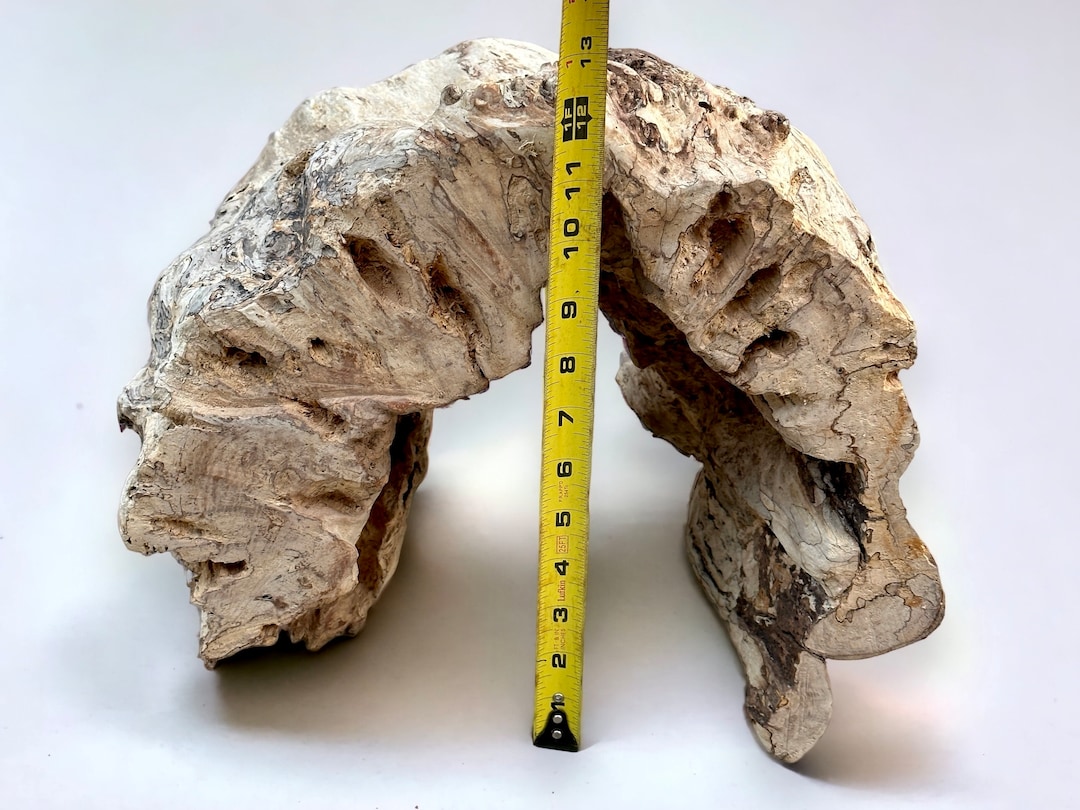 Unique Half Log Reptile Hide Cave - Etsy