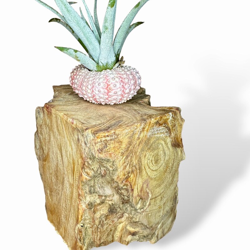 Rustic Plant Stand - Etsy