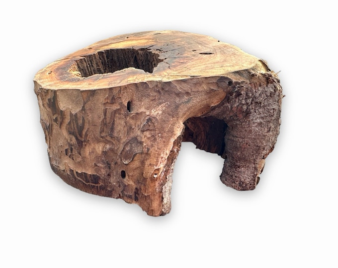 Hollow Maple Tree Stump With Tunnel - Etsy