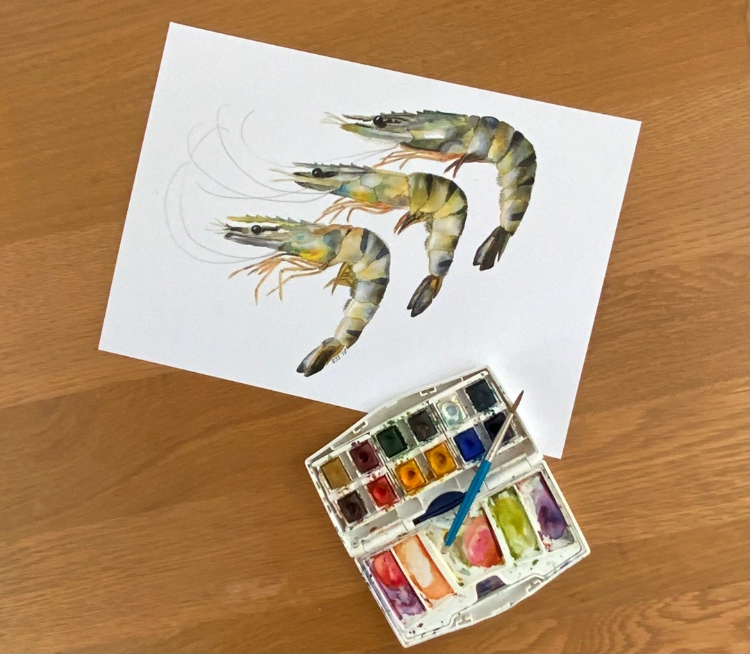 Prawn / Art Gift / Christmas Housewarming Gift / Kitchen Art - Etsy UK