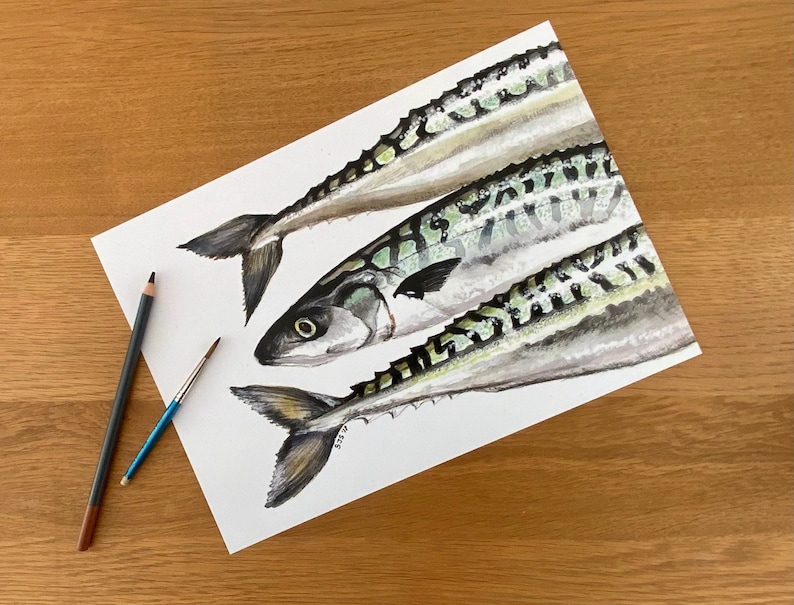 Mackerel / Art Gift / Housewarming Gift / Kitchen Art / A4 ...