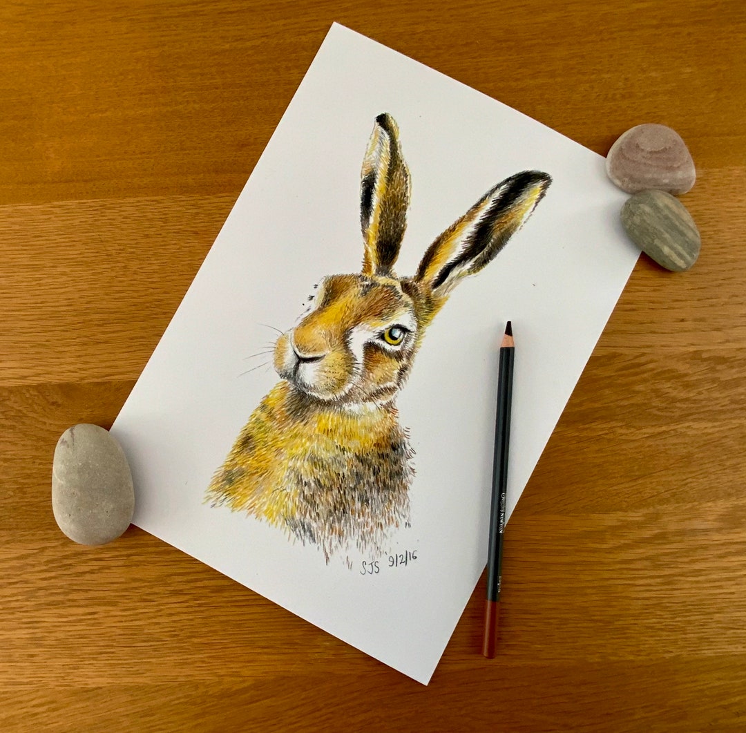Hare / Wildlife Art Print / Housewarming Gift / A4 / Wall Art ...