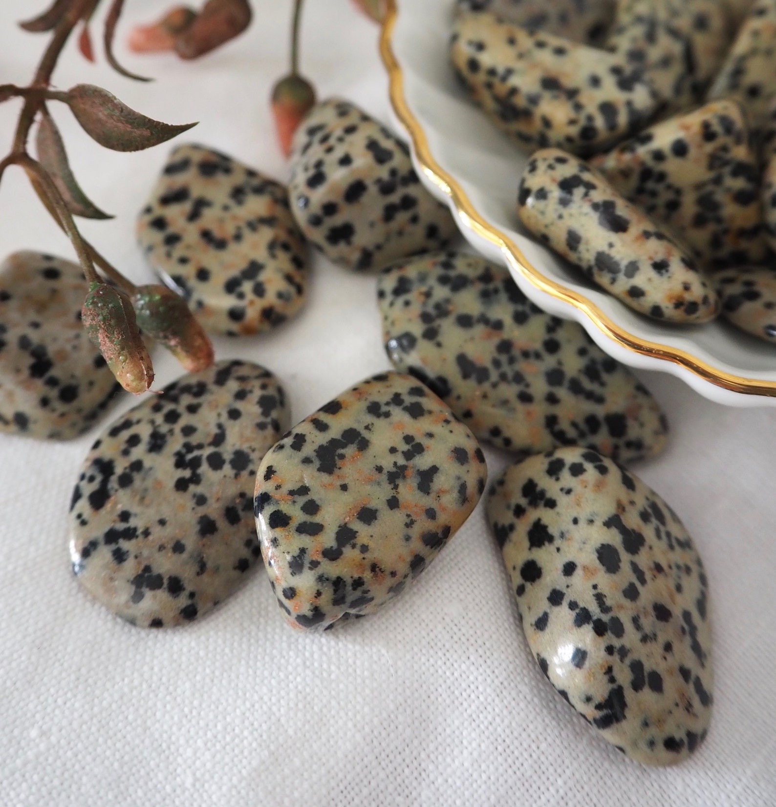 Dalmation Jasper Small Dalmation Jasper Tumbled Stone the - Etsy