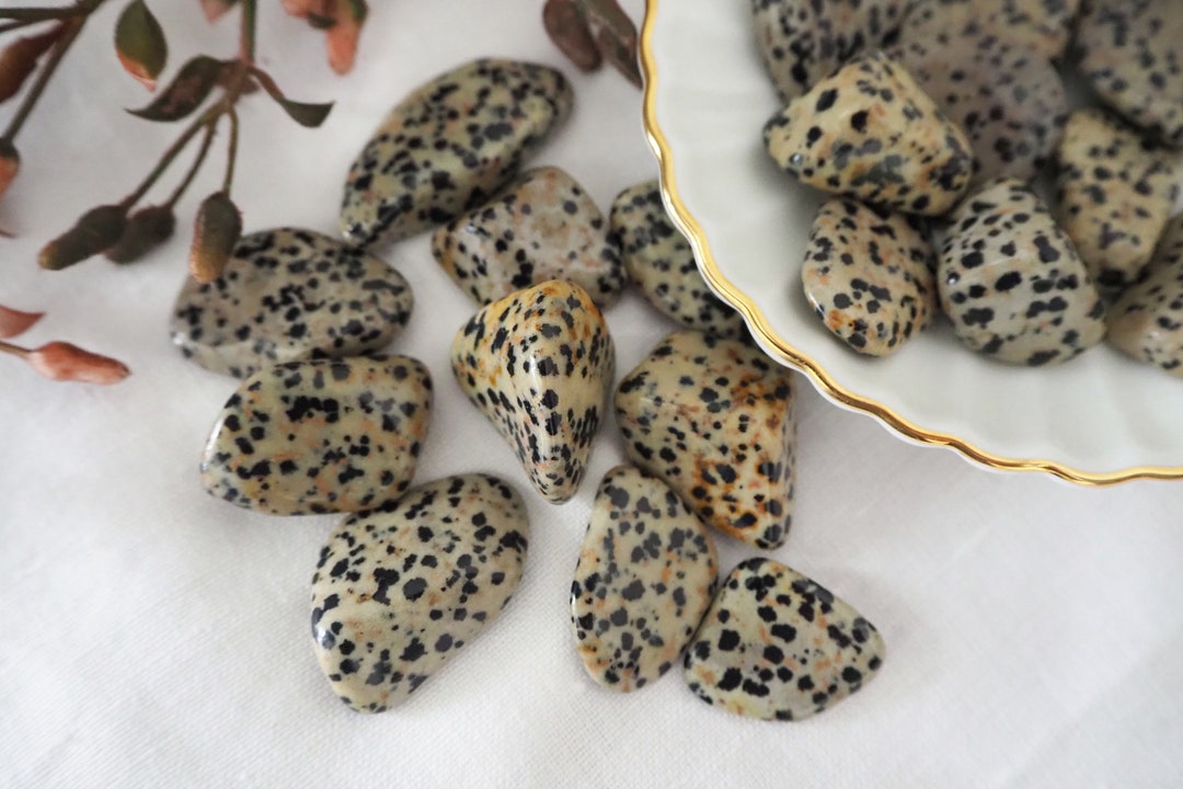 Dalmation Jasper Small Dalmation Jasper Tumbled Stone the - Etsy