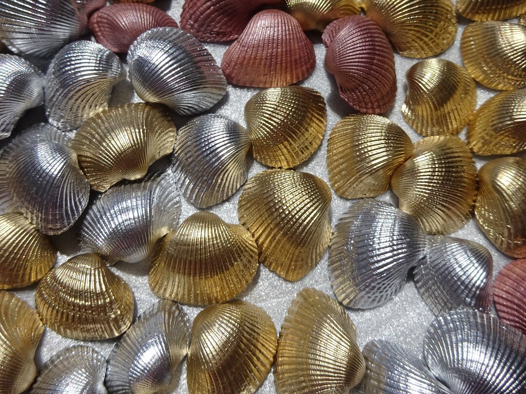 Natural Seashells From Black Sea Coast - Hand-dyed in Silver, Gold and ...