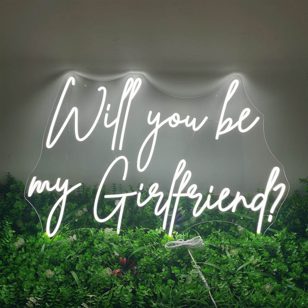 Will You Be My Girlfriend? LED Neon Sign, Custom Engagement Party Neon ...