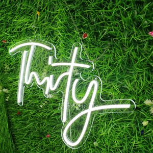 Thirty Neon Sign/custom Neon Sign/neon for Wall Hanging Decoration/neon ...