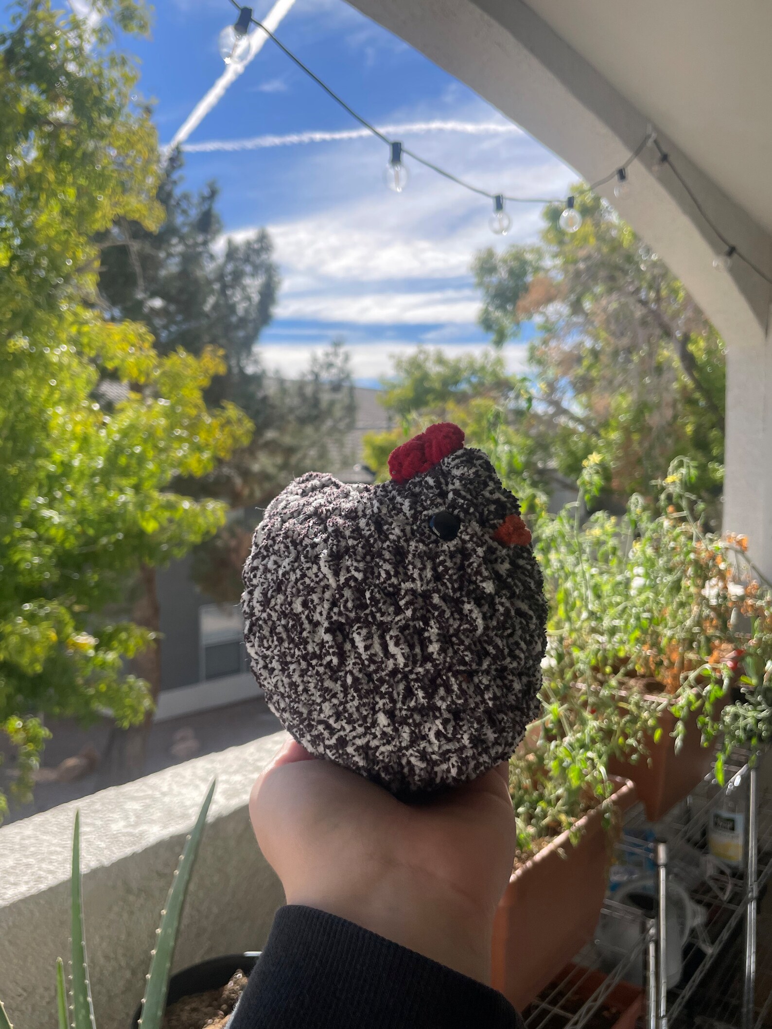 Crochet Chickens - Etsy