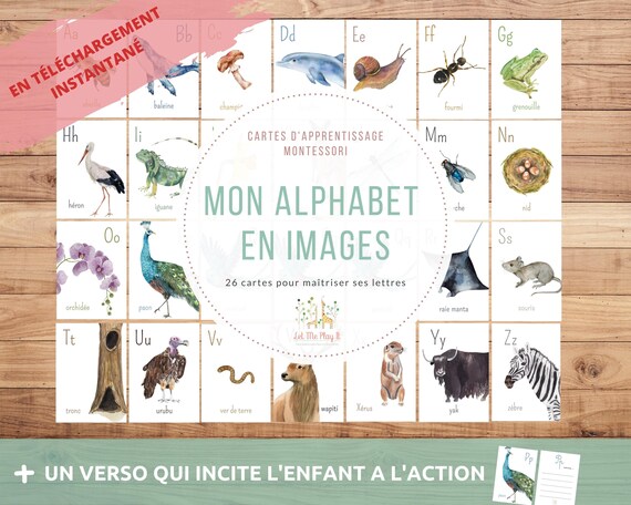 Langage 26 lettres de l'Alphabet français Script - Etsy France