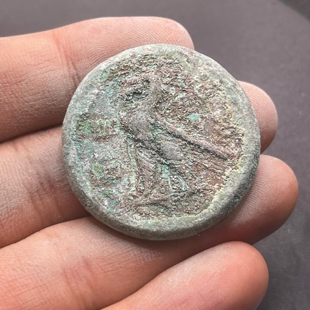 Genuine Ancient Bactrian Greco-bronze Rare Coin With Remarkable Patina ...