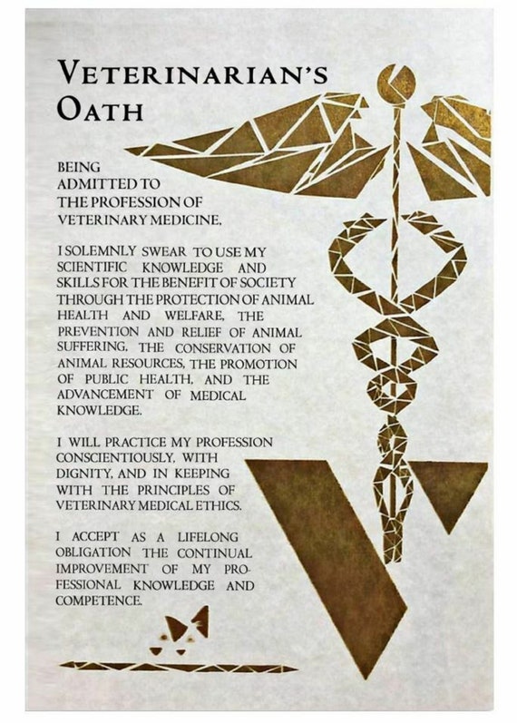 Veterinarian's Oath The Profession Of Veterinary Medicine | Etsy