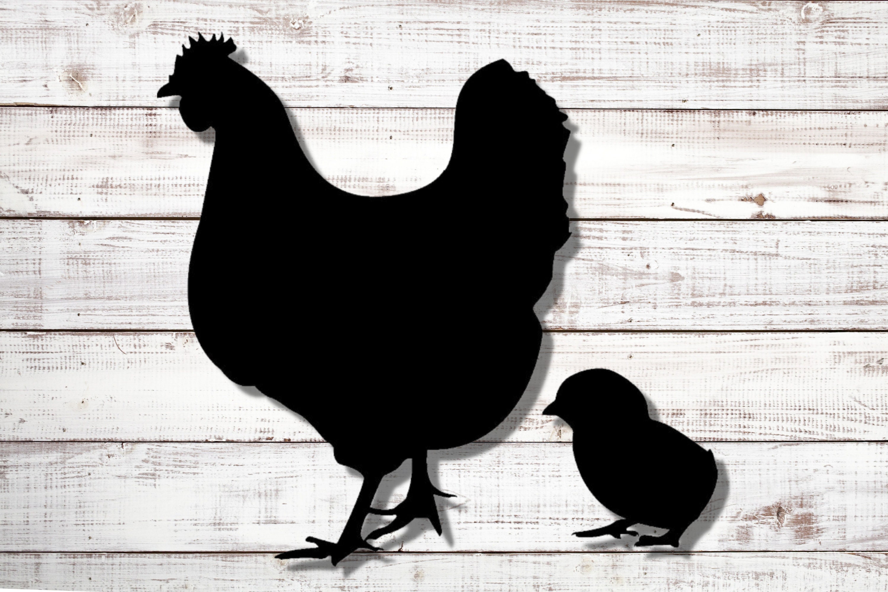 Chicken Hen Silhouette