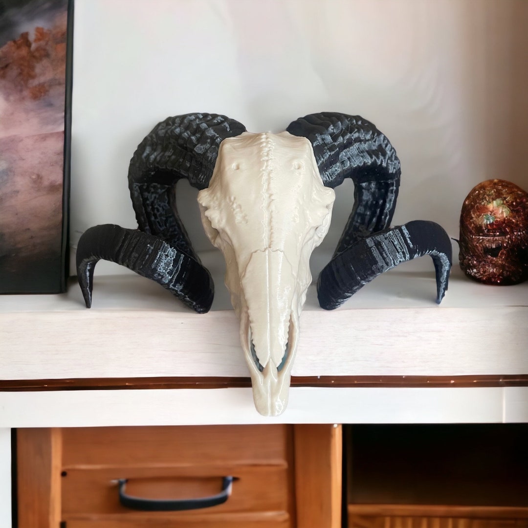 3d Realistic Ram Skull - Etsy