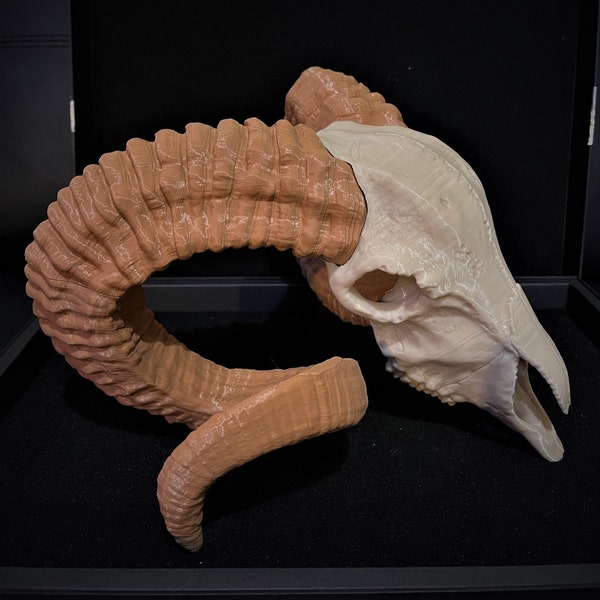 Ram Skull - Etsy