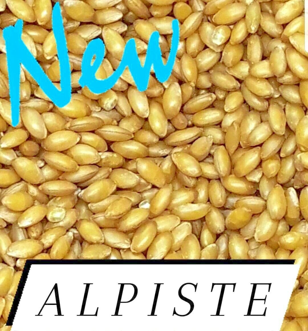 SKINLESS dehulled Canary Seed Alpiste Silica Fiber Free - Etsy UK