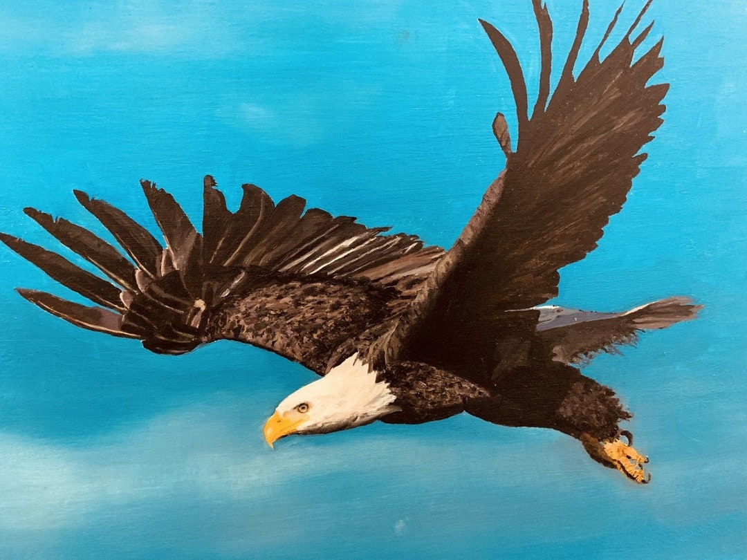 Bald Eagle in Flight / Bald Eagle, Mid-flight - Etsy