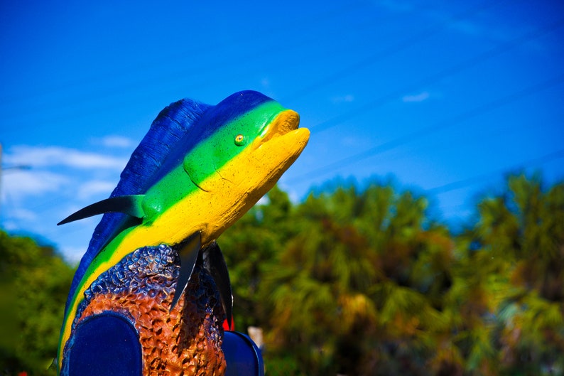 Mahi-mahi Dolphin Fish Mailbox Sculpture: Unique Coastal Nautical Decor ...