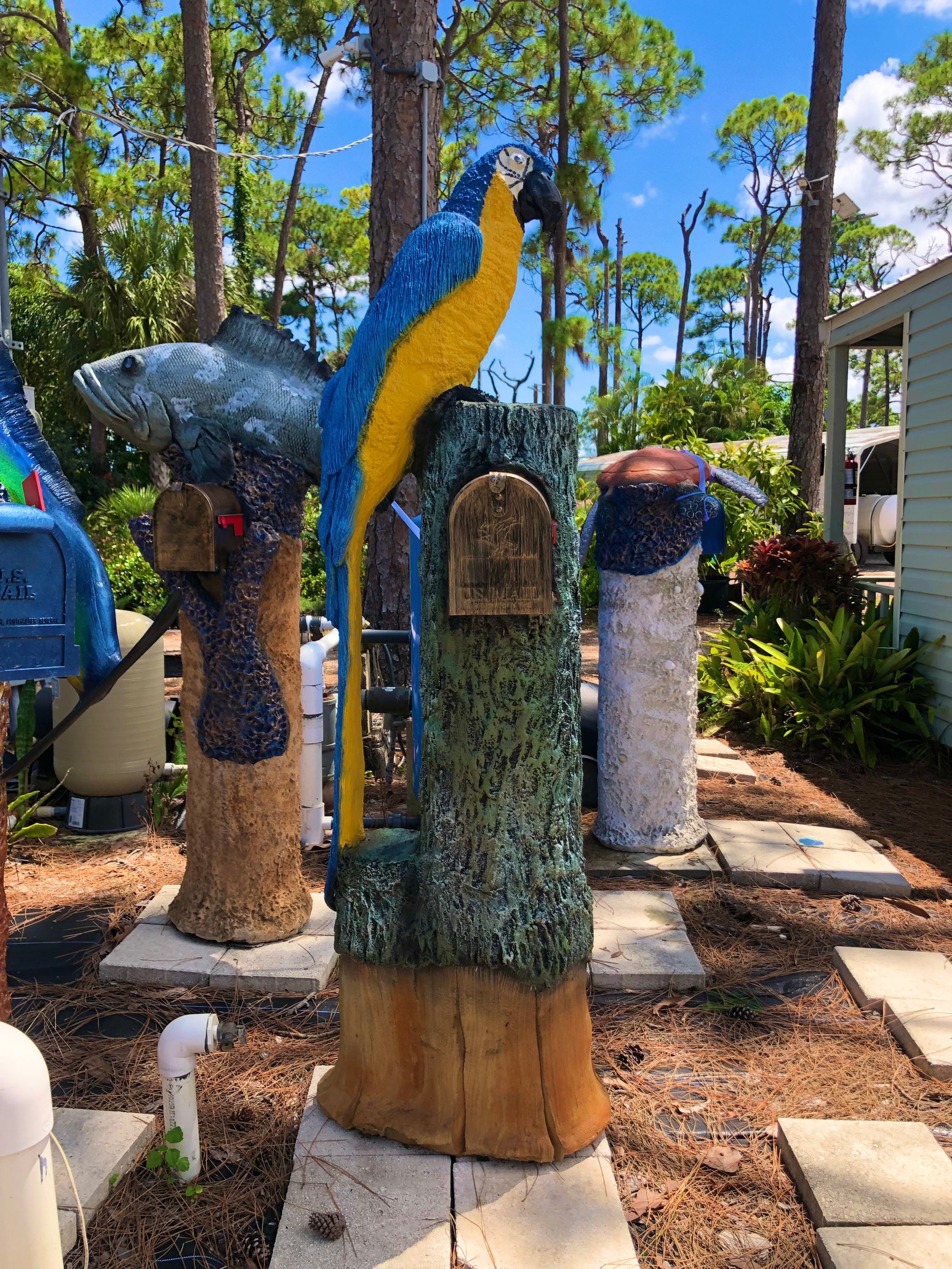 Handcrafted Macaw Parrot Mailbox Statue: Unique Coastal Nautical Decor ...