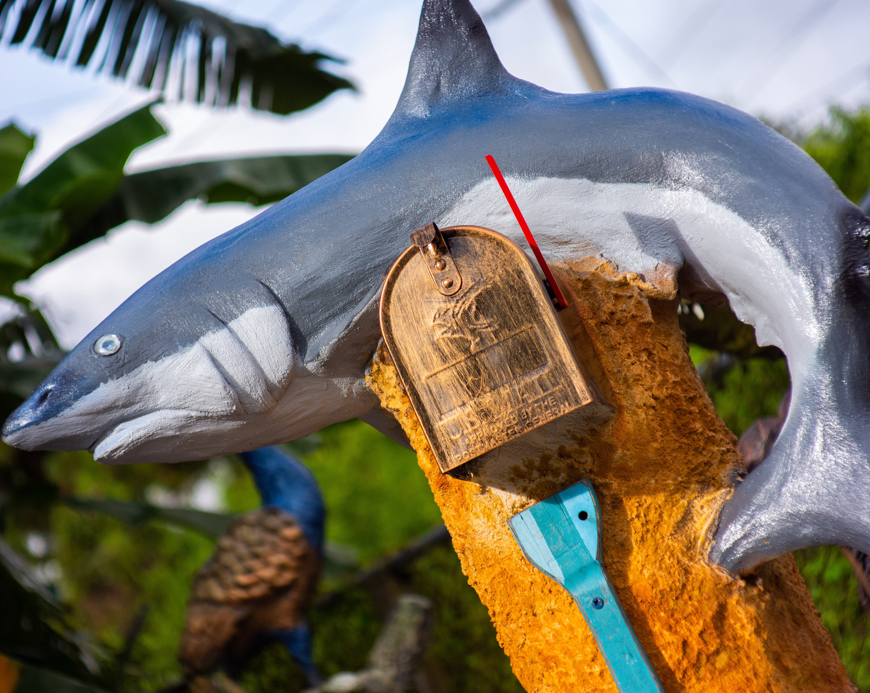 Bull Shark Mailbox Sculpture (great White Shark, Hammerhead Shark ...
