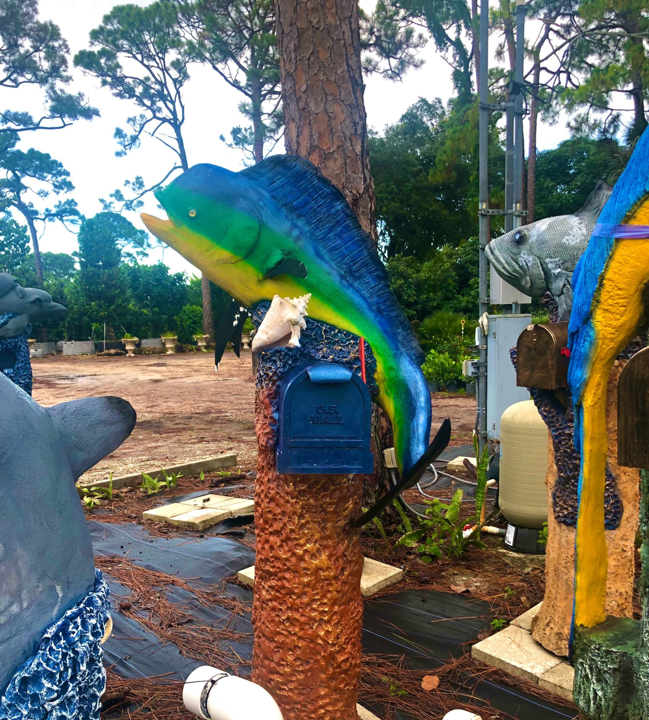 Mahi-mahi Dolphin Fish Mailbox Sculpture: Unique Coastal Nautical Decor ...