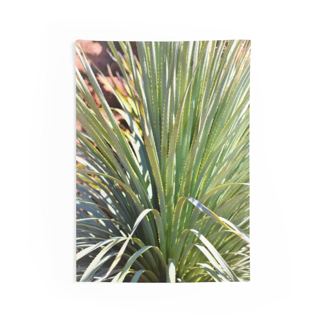 Desert Spoon Agave Indoor Wall Tapestry 26x36 - Etsy
