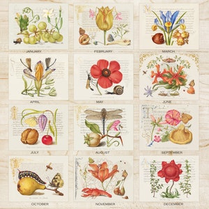 Nature Calendar 2024 Botanical Calendar Monthly Wall Calendar With ...