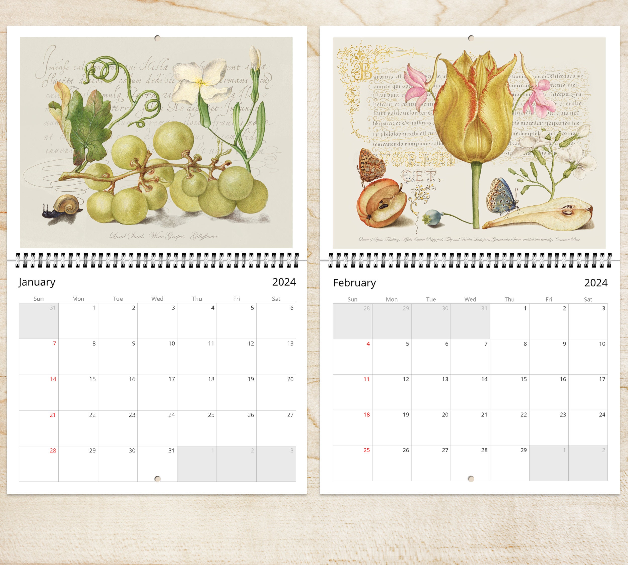 Nature Calendar 2024 Botanical Calendar Monthly Wall Calendar With ...