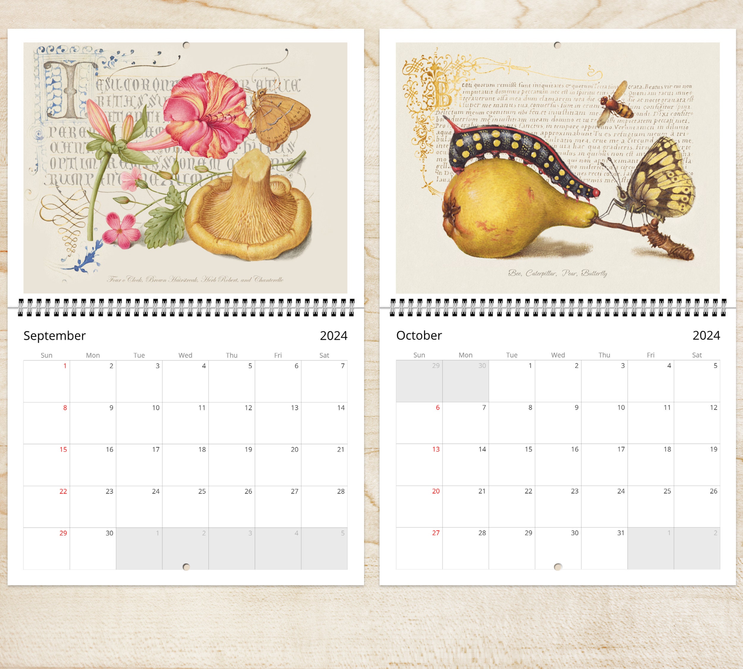 Nature Calendar 2024 Botanical Calendar Monthly Wall Calendar With ...