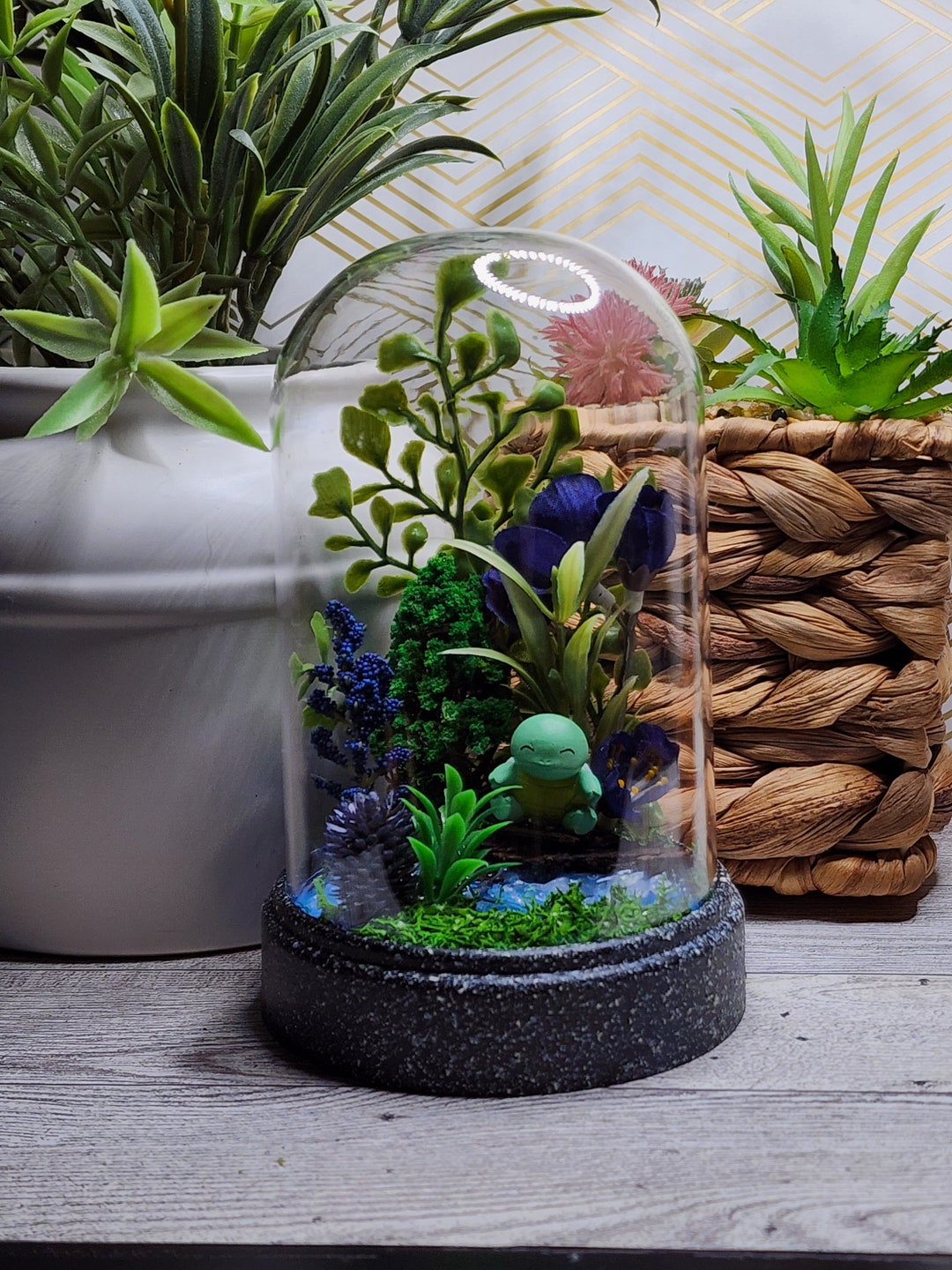 Light up Dome Terrarium Squirtle - Etsy