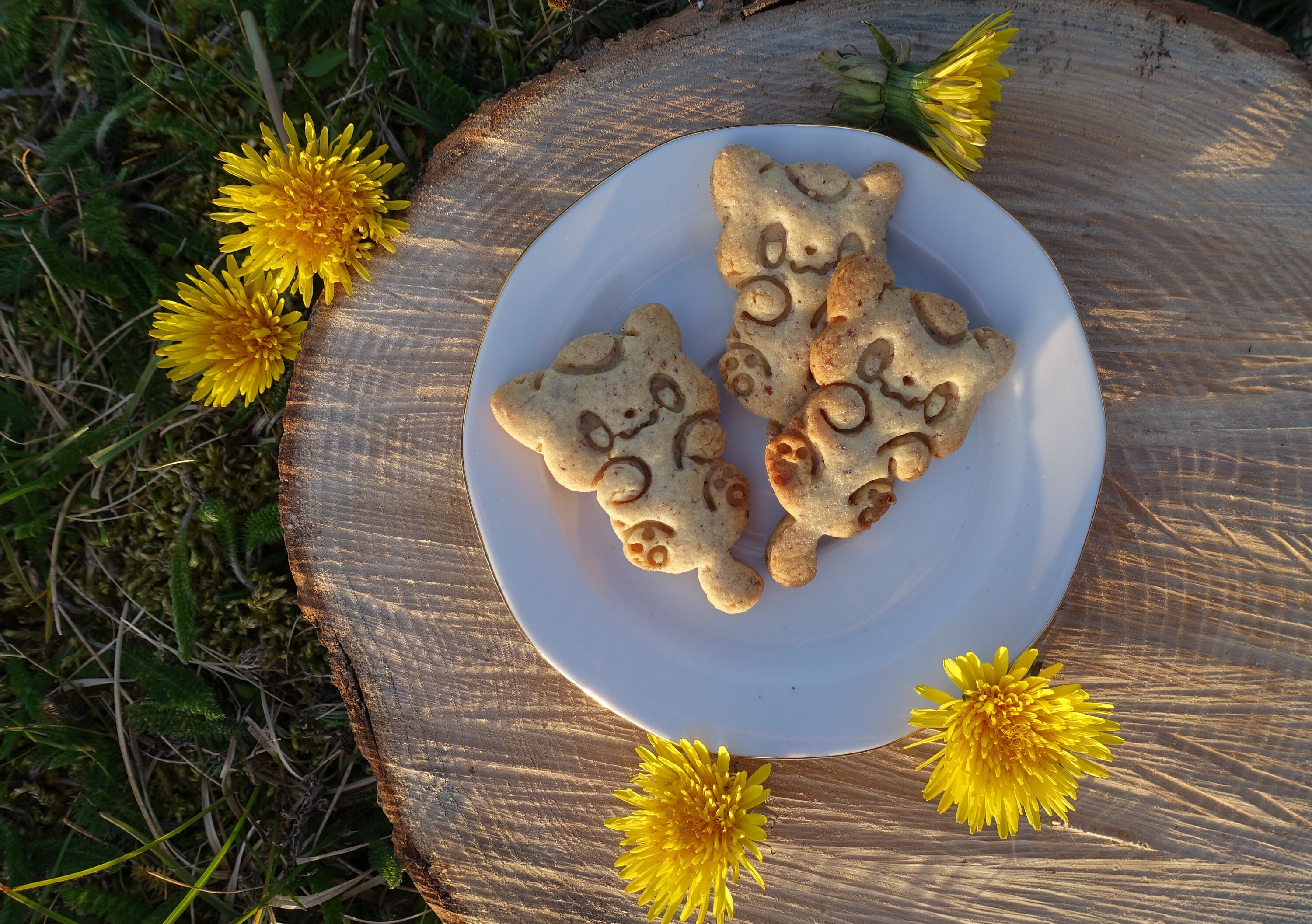 Cute Cat Biscuit Cake Shortbread Pastry Fimo Designed - Etsy UK
