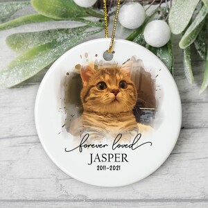 Cat Memorial Ornament, Custom Cat Ornament, Personalized Christmas ...