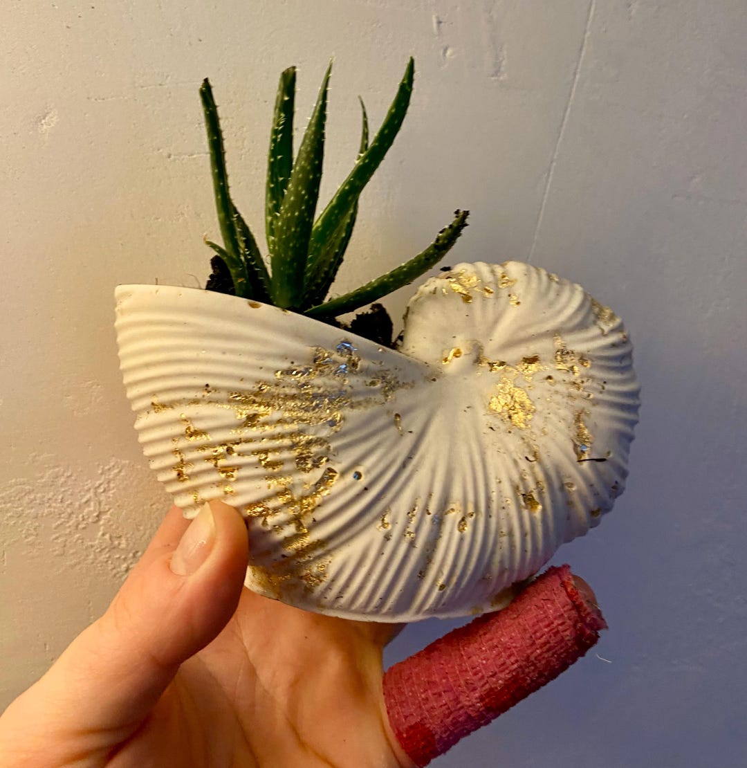 Jesmonite / Artyl Resin Ammonite for Flower Pots, Succulents ...