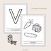 Nature ABC Coloring Book: Printable Alphabet Learning (PDF) - Etsy