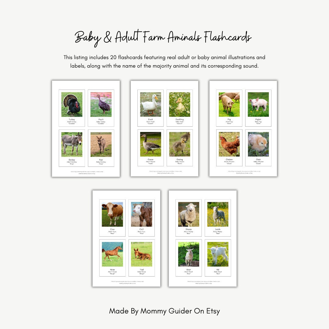 Farm Animal Flashcards: Montessori Learning, Adult & Baby (digital ...