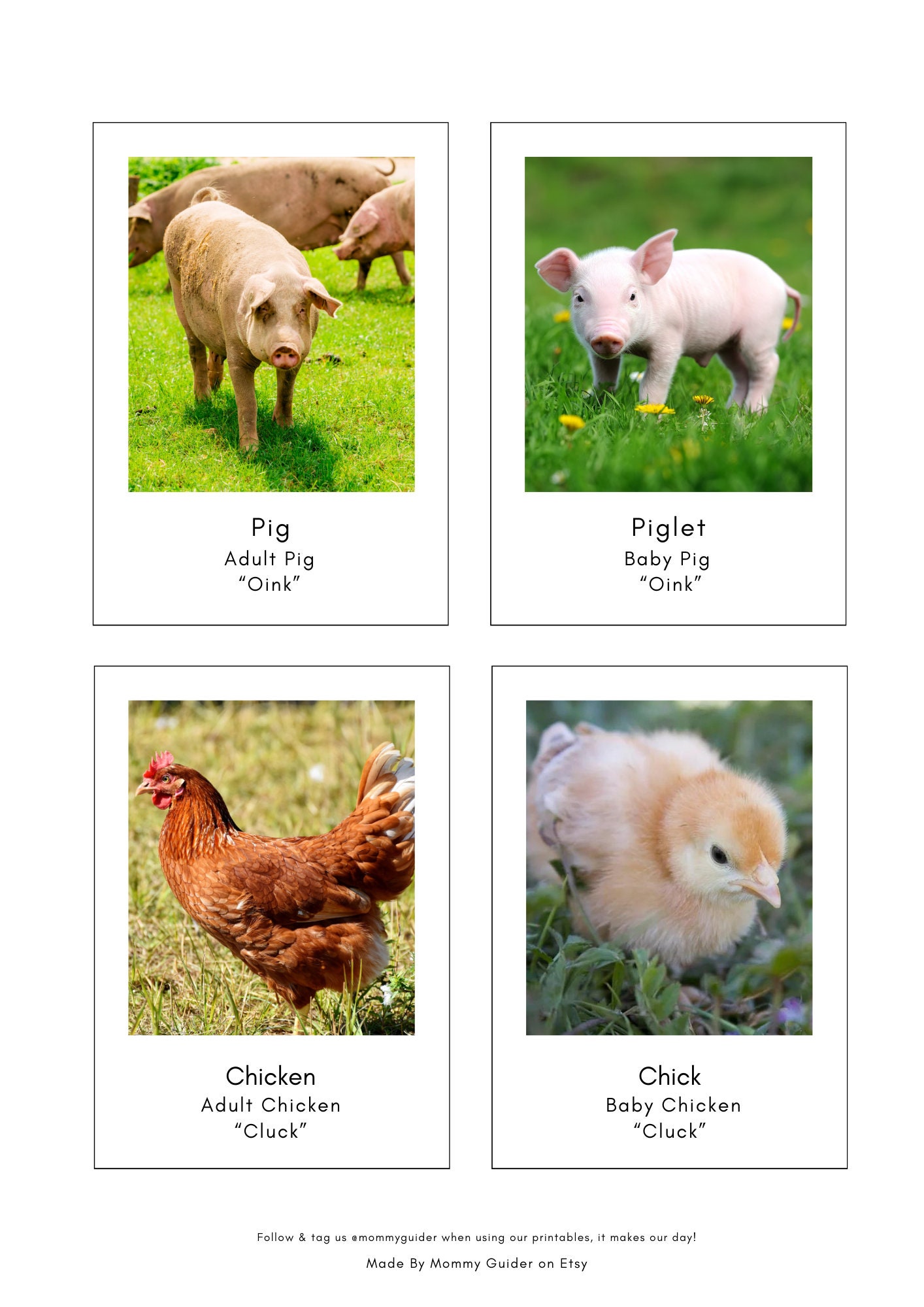 Farm Animal Flashcards: Montessori Learning, Adult & Baby (digital ...