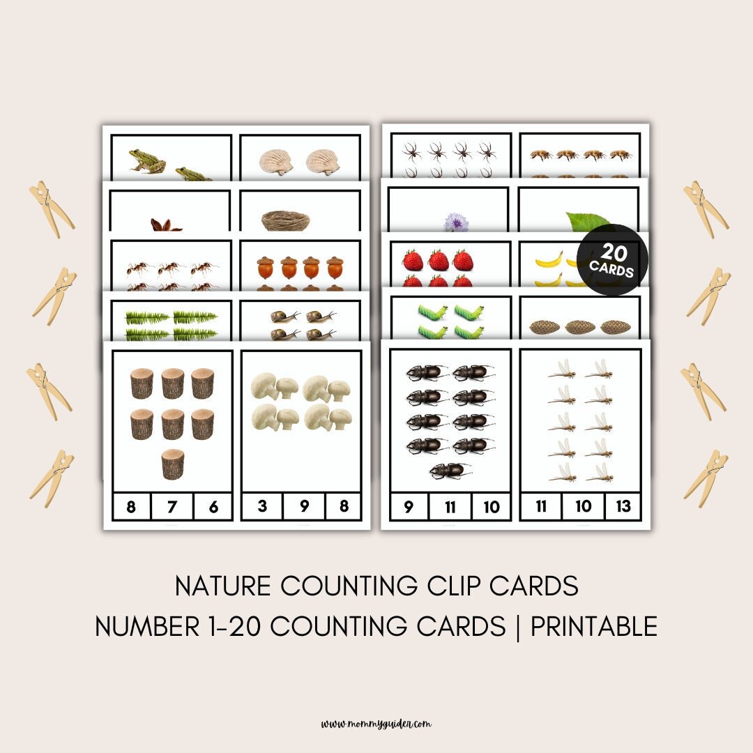 Nature Counting Clip Math Number Cards 1-20 | Homeschool Printables - Etsy
