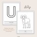 Nature ABC Coloring Book: Printable Alphabet Learning (PDF) - Etsy