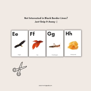 Abc Nature Flashcards Printable Pre K Flash Cards - Etsy
