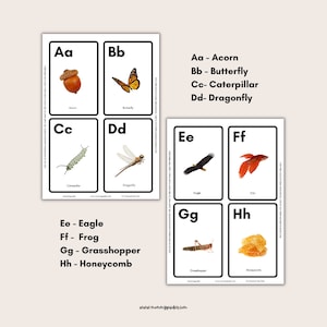 Abc Nature Flashcards Printable Pre K Flash Cards - Etsy