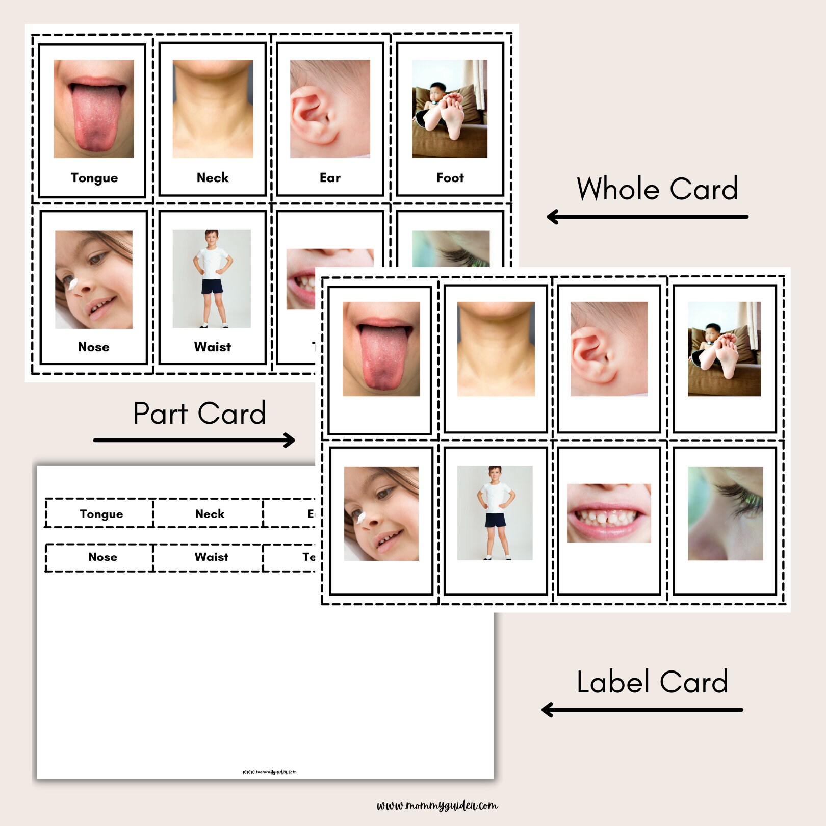 Montessori Human Body Flash Cards: Educational Printable (PDF) - Etsy