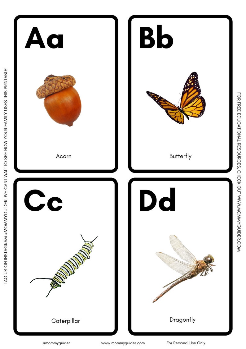 Abc Nature Flashcards Printable Pre K Flash Cards - Etsy