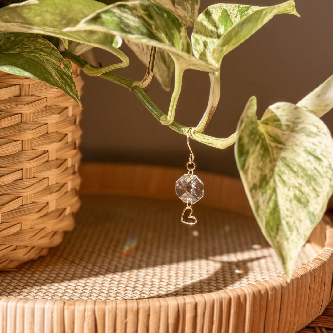 Plant Vine Charms | Hanging Suncatcher With Brass Heart | Crystal ...