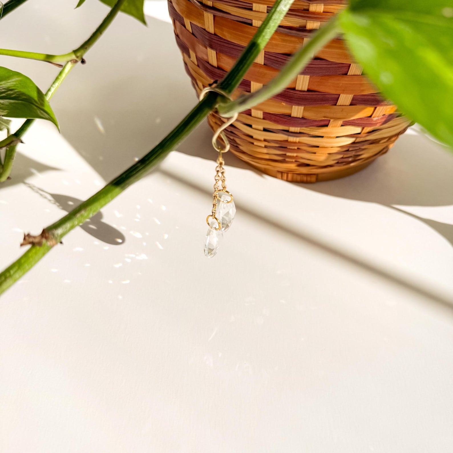 Plant Vine Charms | Hanging Sun Catchers | Sunlight Reflector Prisms ...