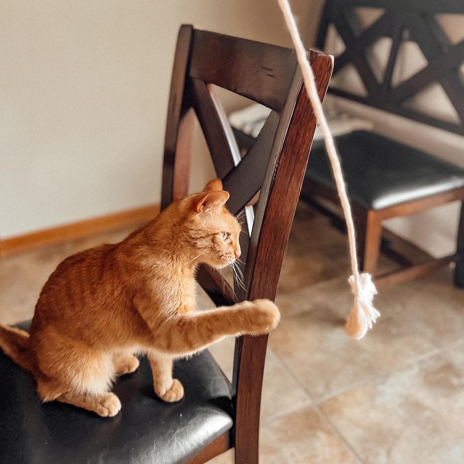 Macrame Cat Wand Toy | Interactive Teaser Toy for Pet Exercise ...