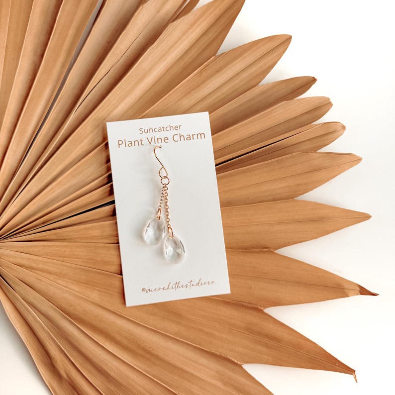 Plant Vine Charms | Hanging Sun Catchers | Sunlight Reflector Prisms ...