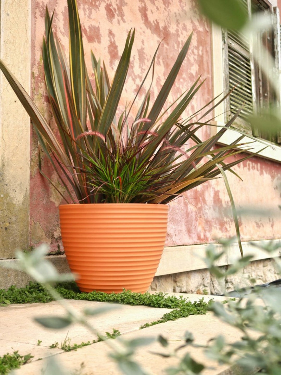 European Tulip Planter Pot Available Both Smooth and Ribbed Terra Cotta ...